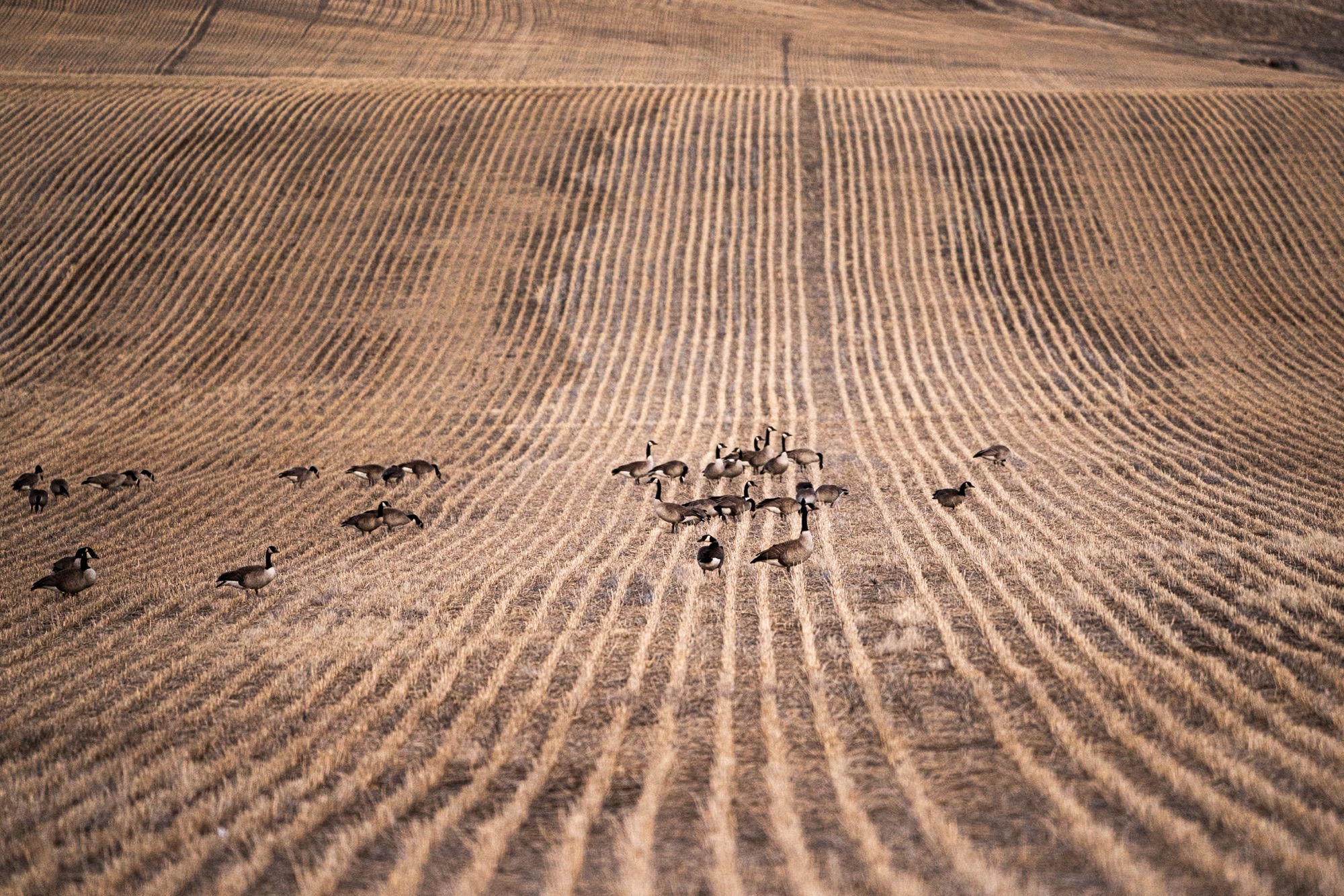Daniel Hedrick – Photography, Tech, Life