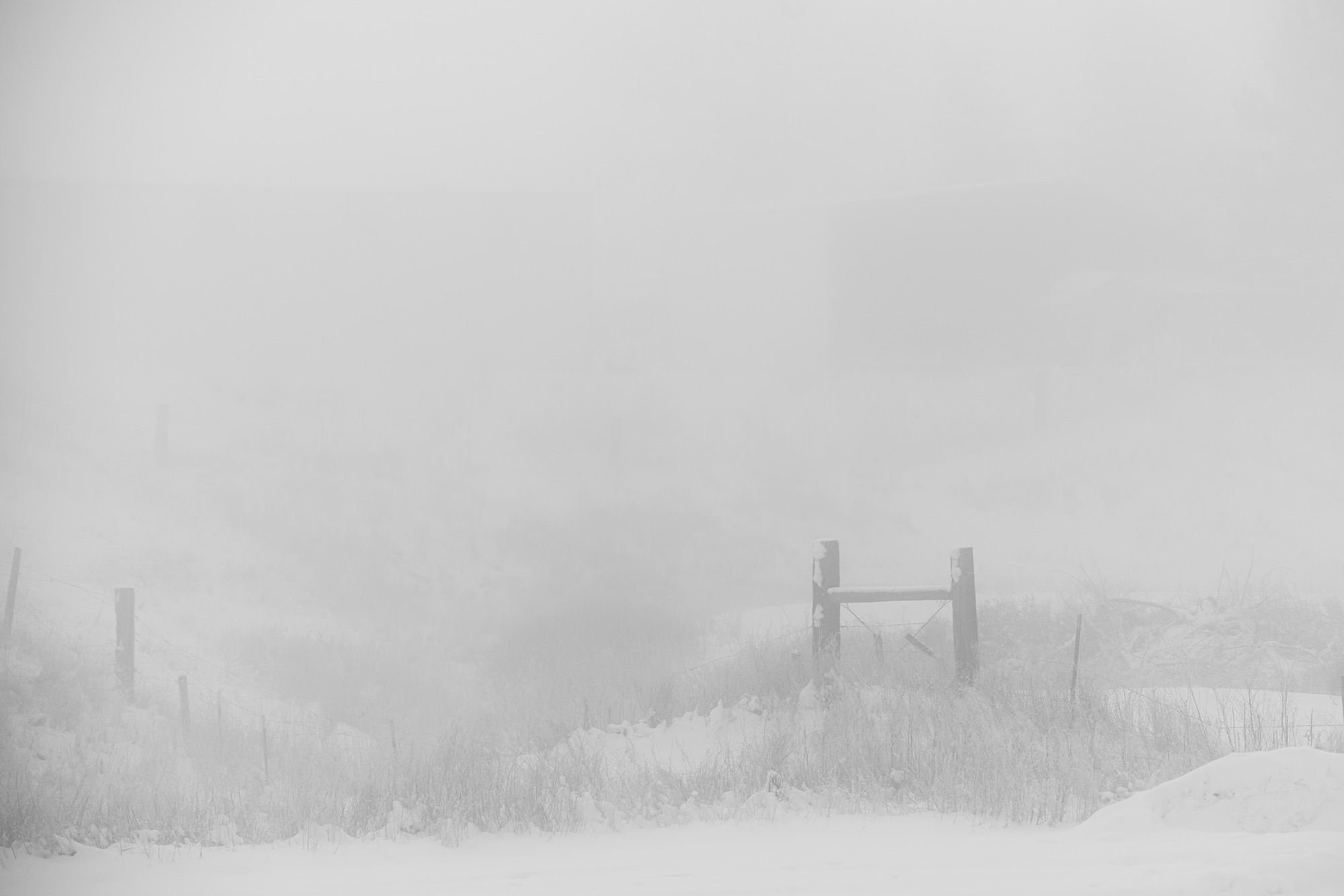Daniel Hedrick – Photography, Tech, Life