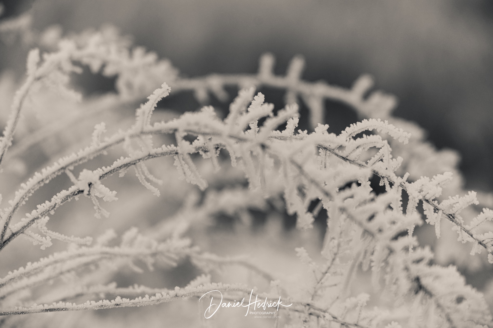 Daniel Hedrick – Photography, Tech, Life