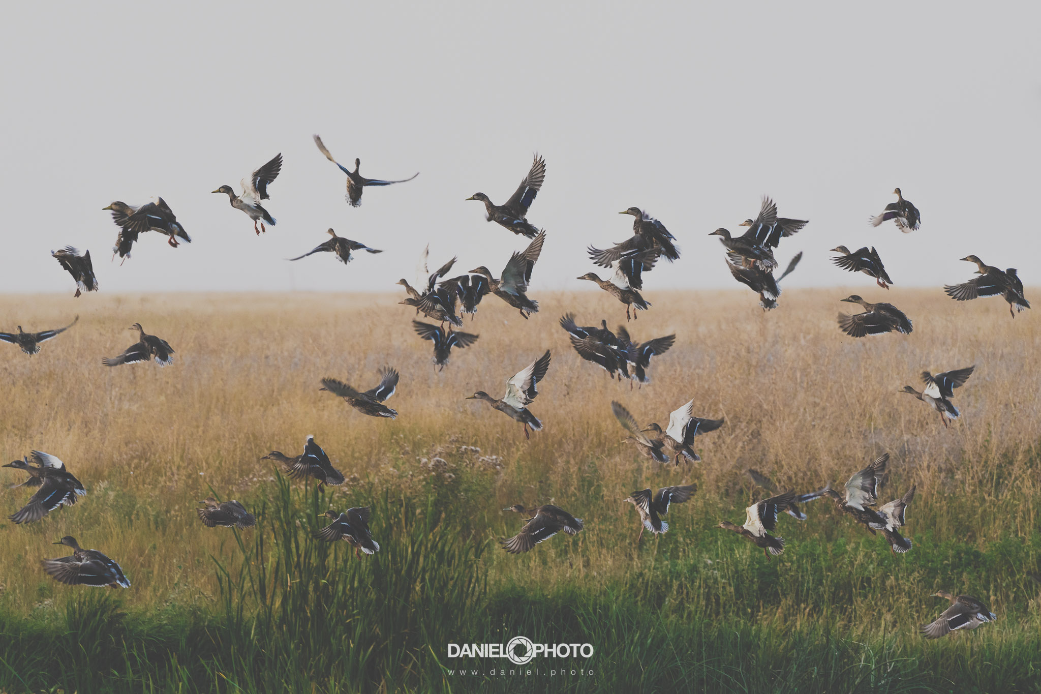 Daniel Hedrick – Photography, Tech, Life