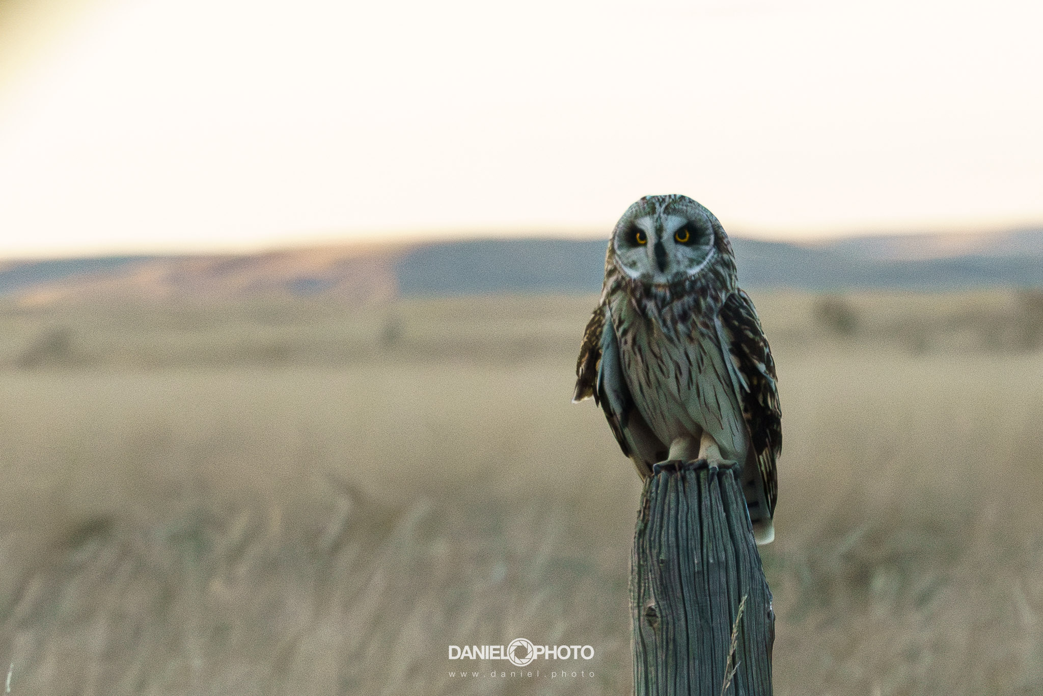 Daniel Hedrick – Photography, Tech, Life